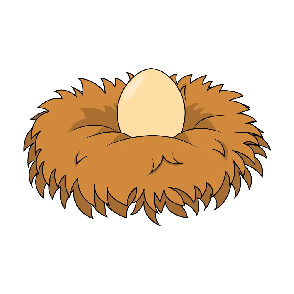 How To Draw A Bird Nest Step By Step