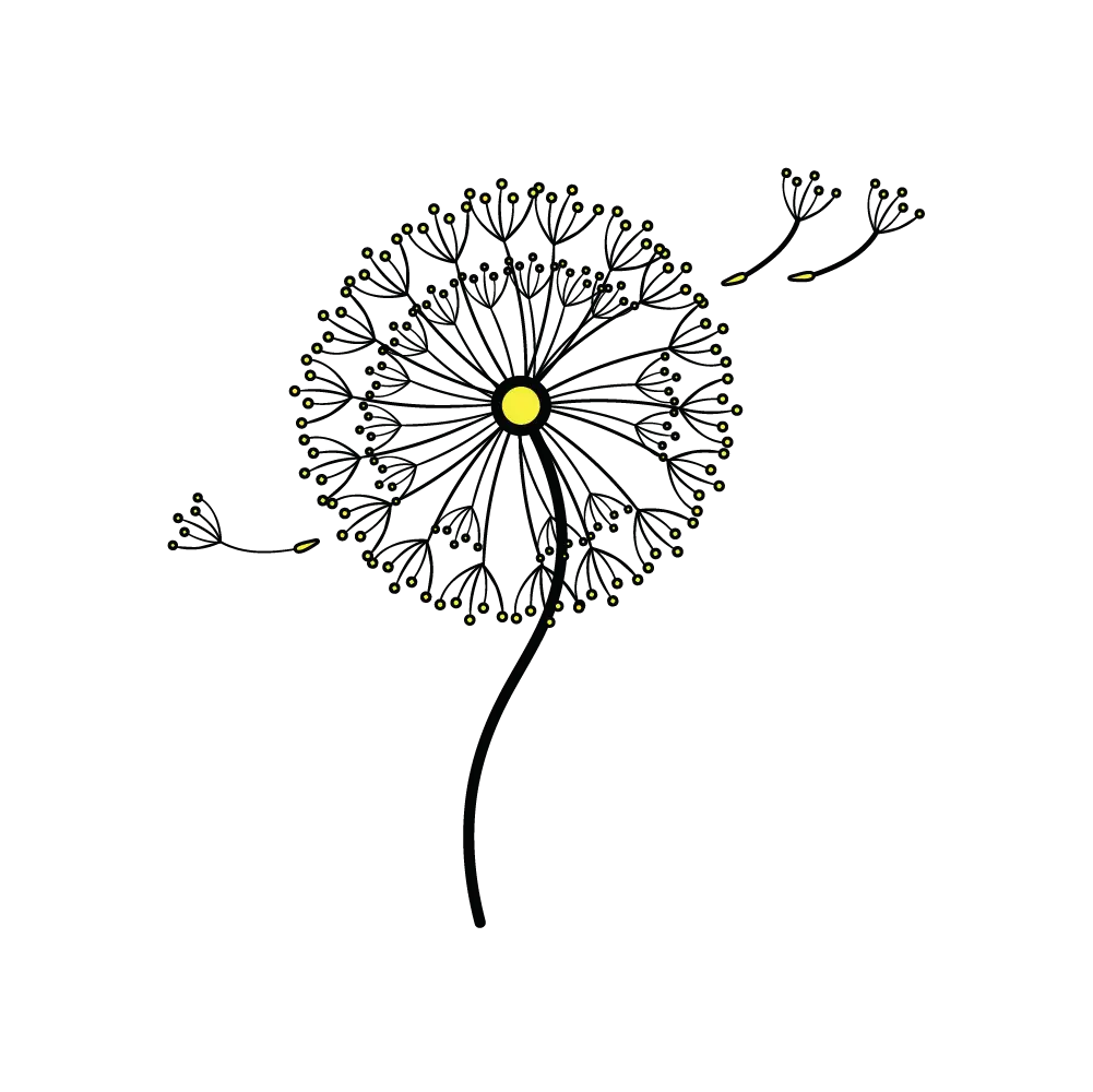 How To Draw A Dandelion Step By Step