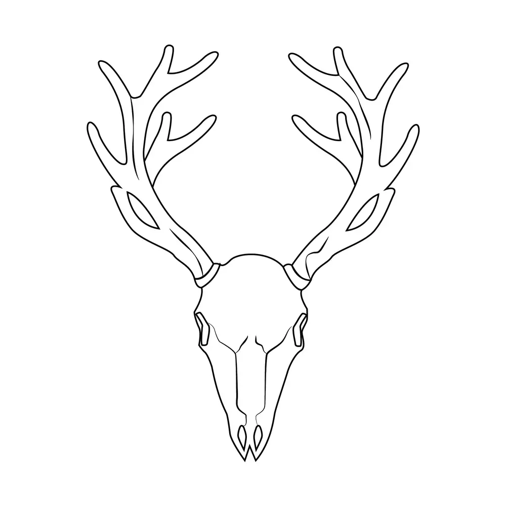  How To Draw A Deer Skull Step By Step 