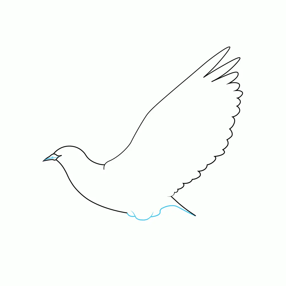 How To Draw A Dove Step By Step