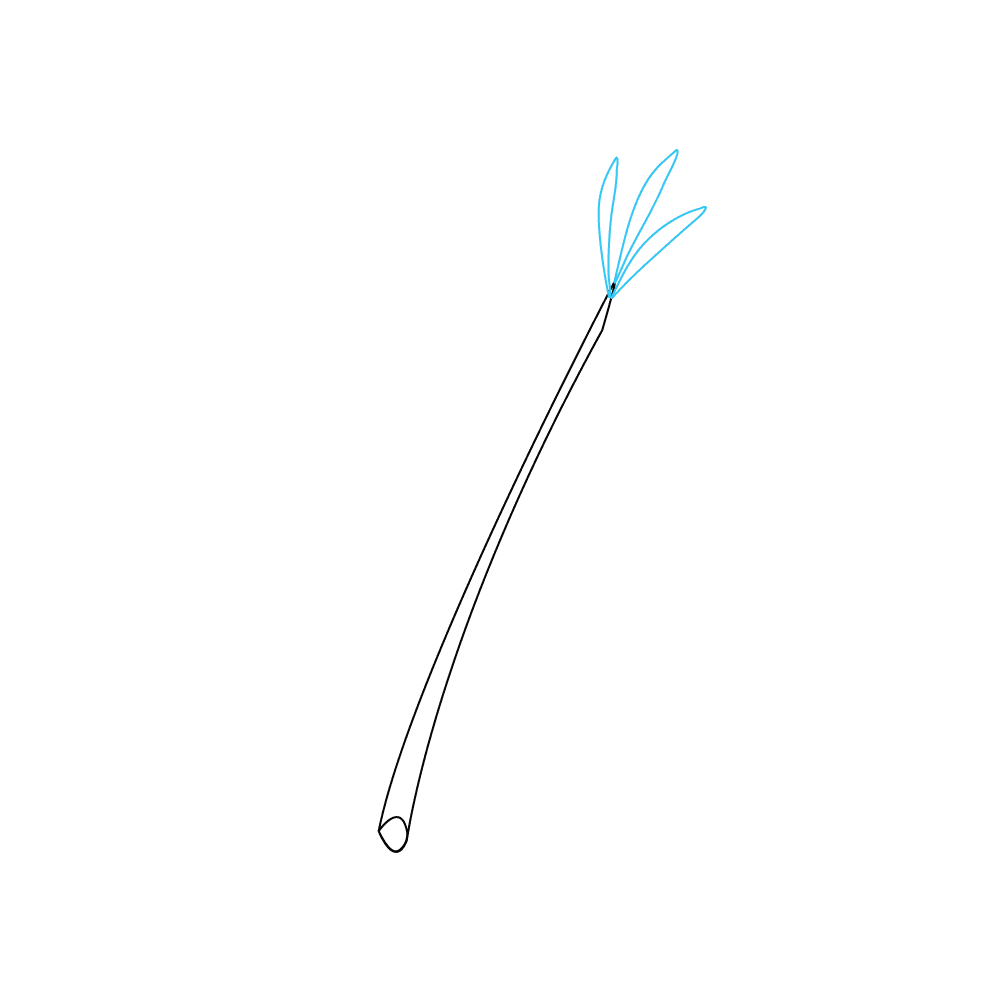  How To Draw A Palm Tree Leaves Step By Step 