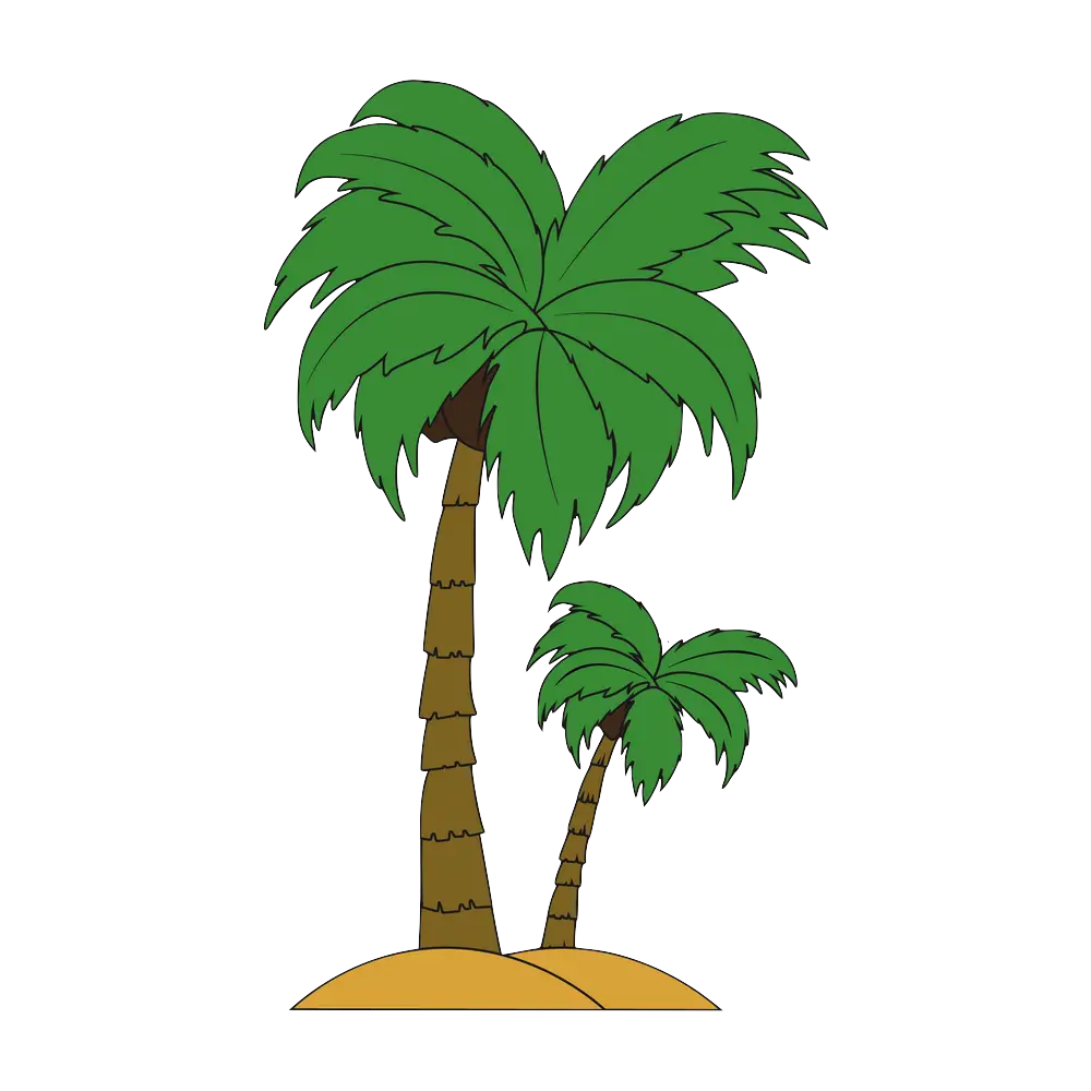 How To Draw A Palm Tree Step By Step