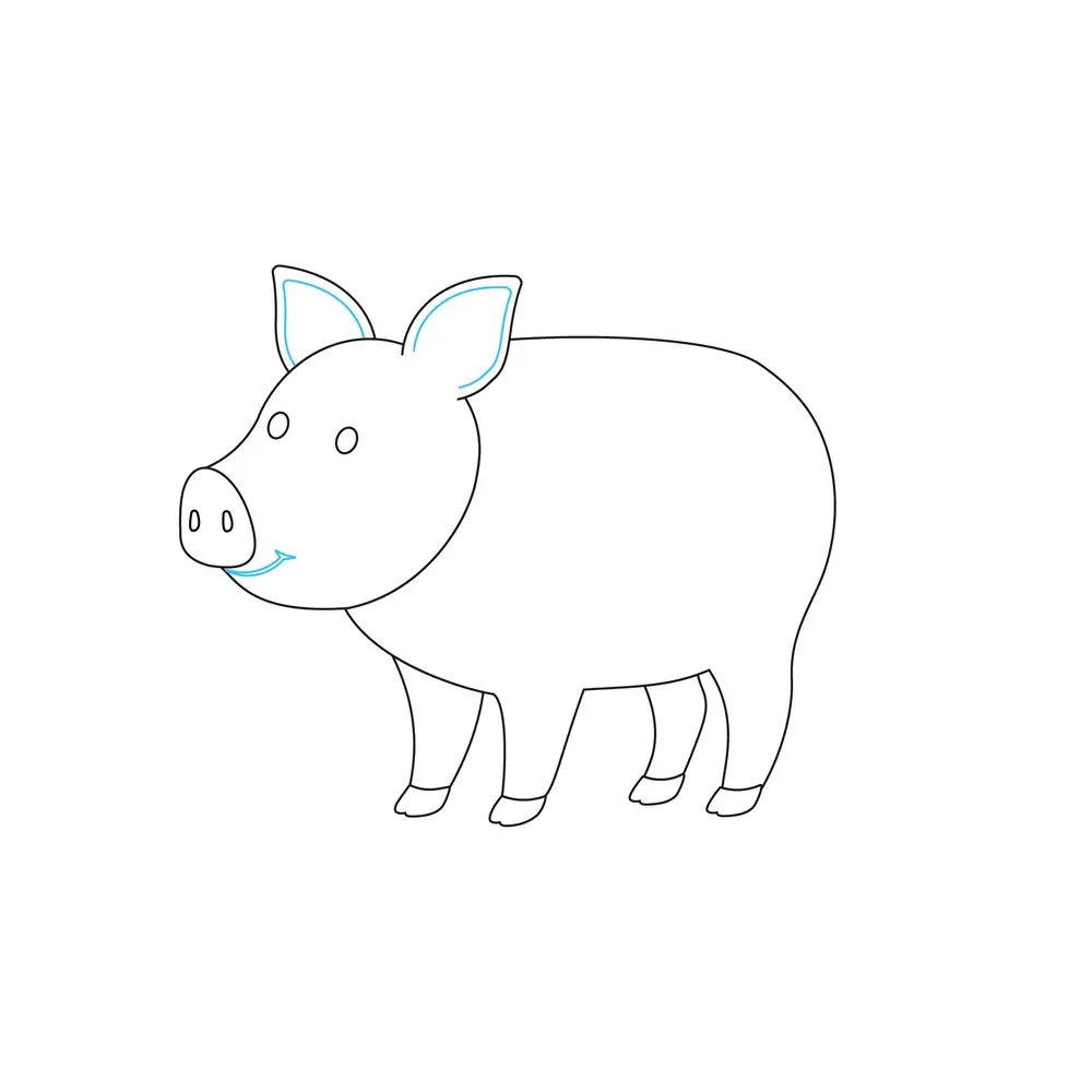 How To Draw A Pig Step By Step How To Draw A Pig Step By Step