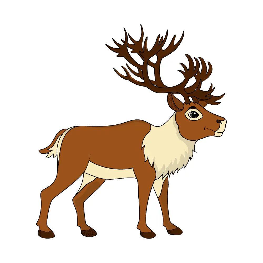 How To Draw A Reindeer Step By Step Pictures Cool2bki Vrogue co