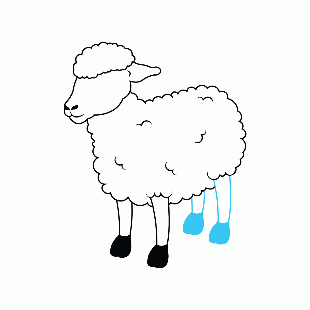 How To Draw A Sheep Step By Step
