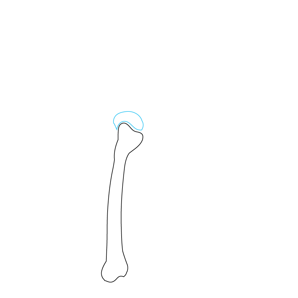 How To Draw A Skeleton Hand Step By Step