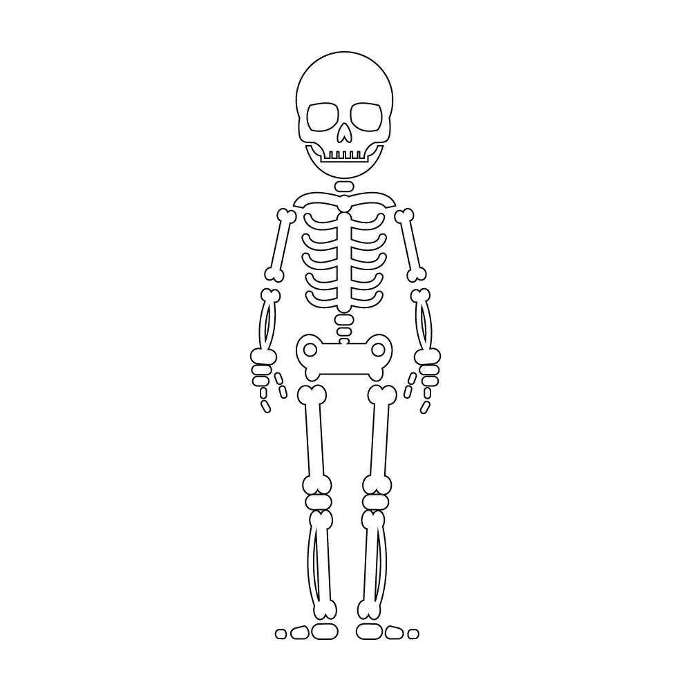 How To Draw A Skeleton Step By Step
