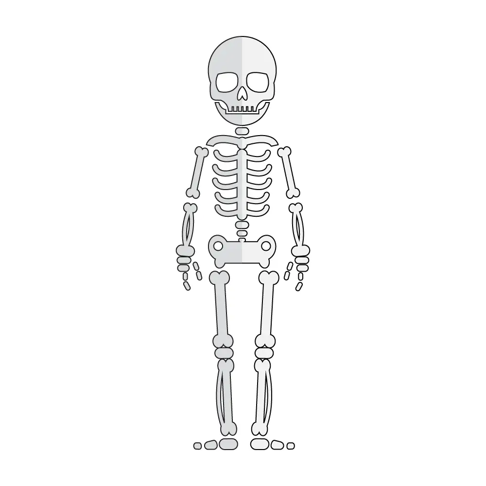 How To Draw A Skeleton Step By Step