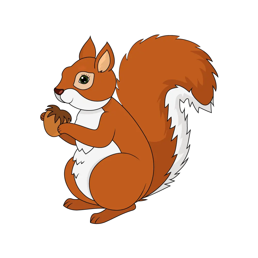How To Draw A Squirrel Step By Step