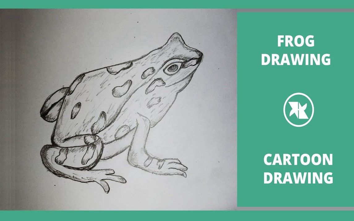 How To Draw A Realistic Frog