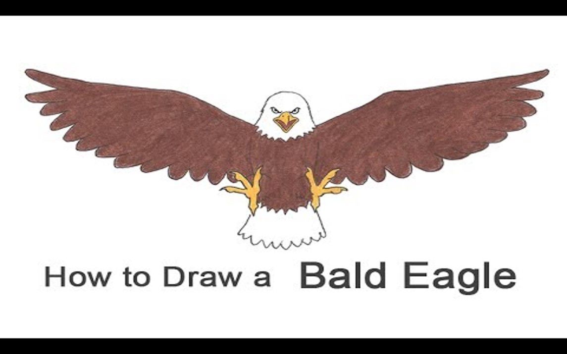 How To Draw A Eagle Step By Step