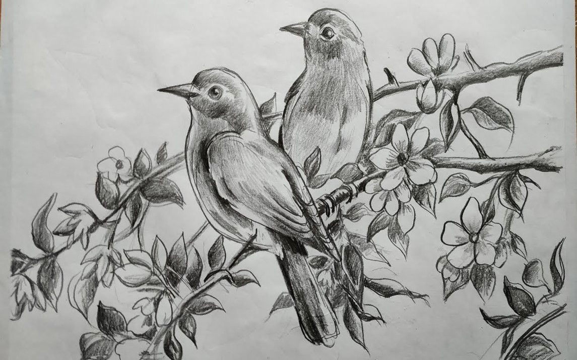 Drawings In Pencil Of Birds